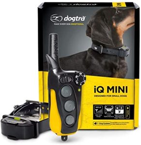 קולר אלקטרוני Dogtra IQ mini - MYSHEPHERD